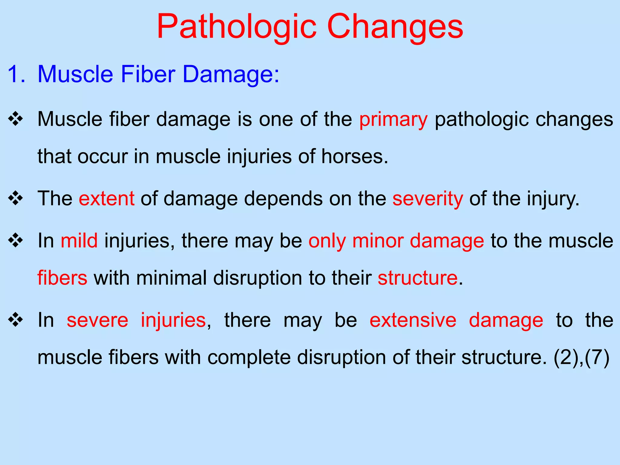 pathologic changes of muscle in injury.ppt