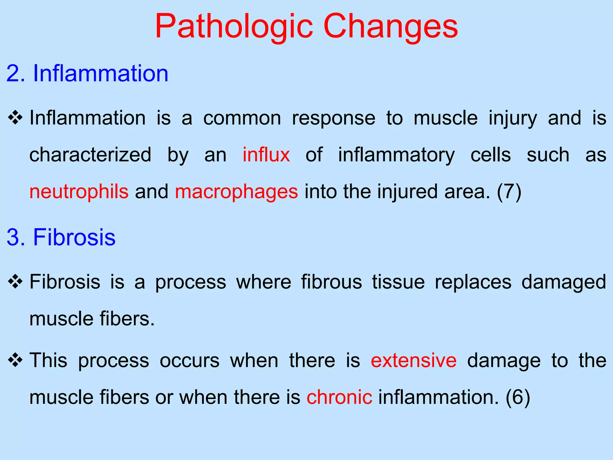 pathologic changes of muscle in injury.ppt