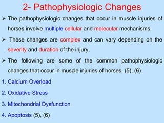 pathologic changes of muscle in injury.ppt