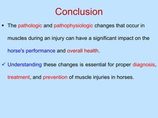 pathologic changes of muscle in injury.ppt