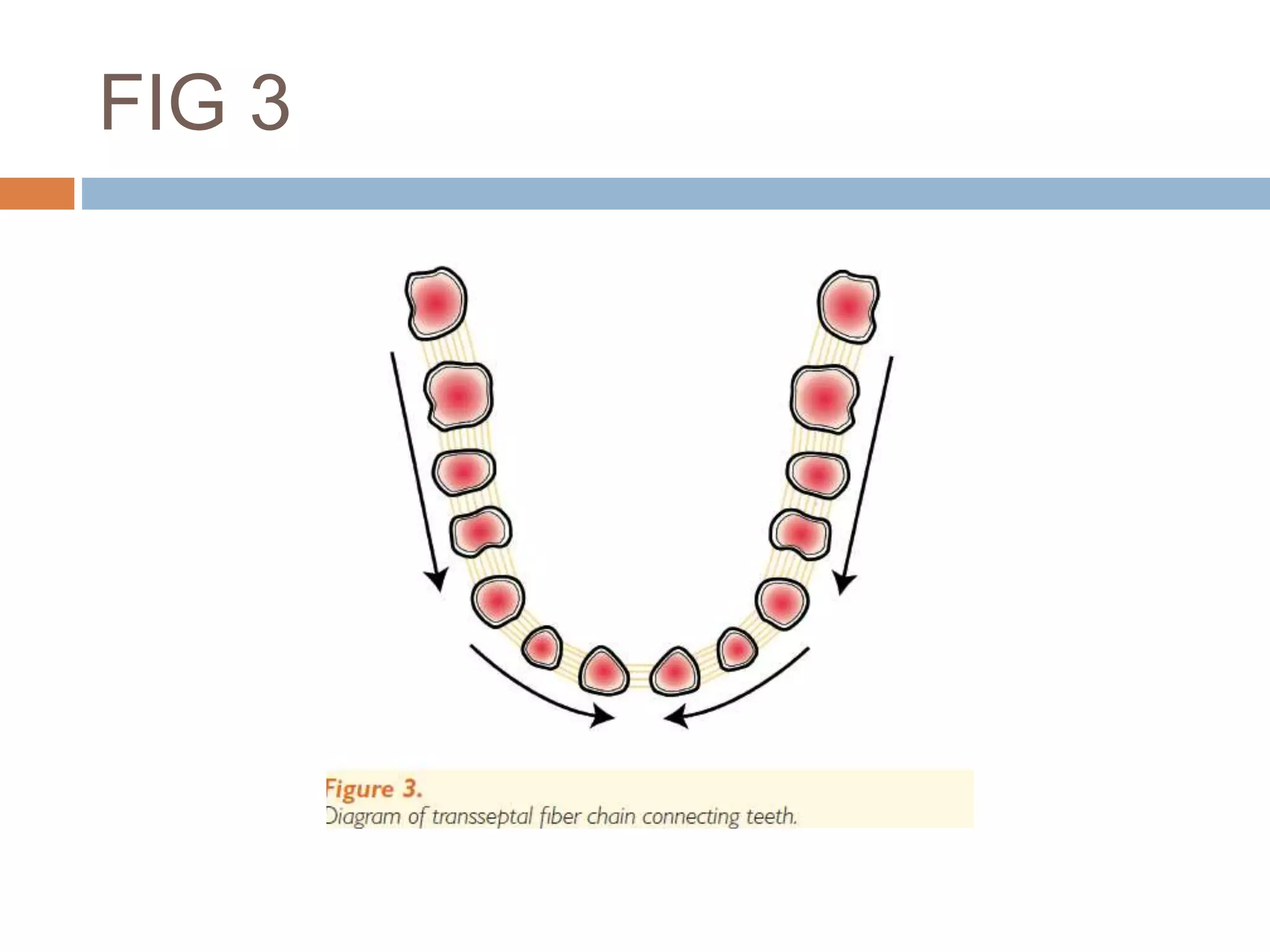 Pathologic migration | PPTX