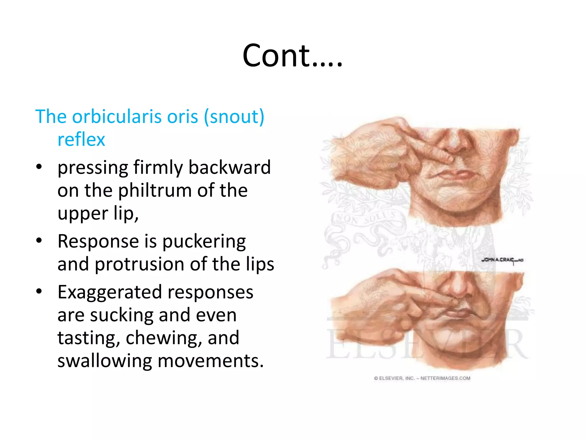 Pathologic Reflexes, Monofilament Tests & Meningeal Signs.pptx
