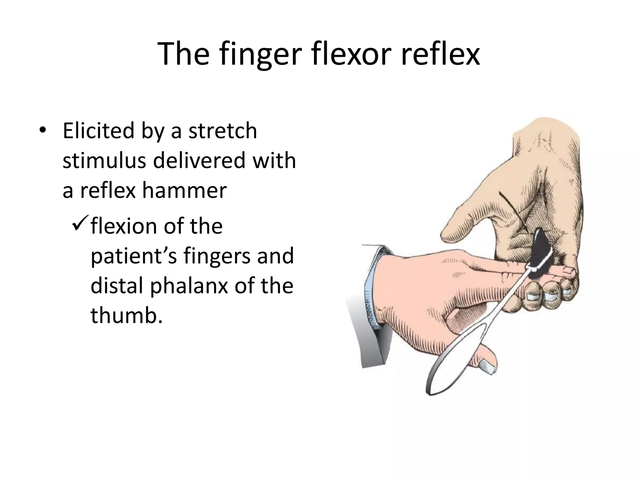 Pathologic Reflexes, Monofilament Tests & Meningeal Signs.pptx