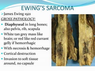 Orthopedic Pathologic specimen & Histology | PDF
