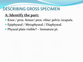Orthopedic Pathologic specimen & Histology | PDF