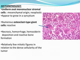 Orthopedic Pathologic specimen & Histology | PDF