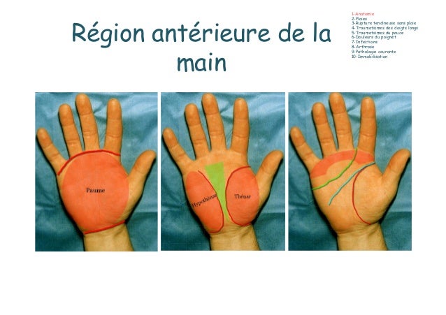 Pathologie de la main pap 10 06 14