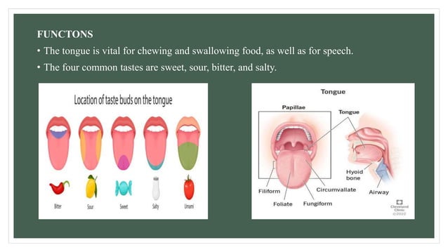 Pathologies of tongue detail presentation | PPT