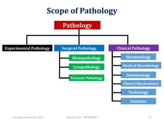 PATHOLOGY - 01 - Fundermentals of Pathology.pdf