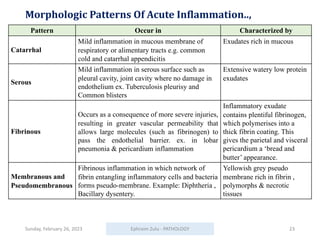 PATHOLOGY - 03 - Inflammation.pdf medicine | PDF
