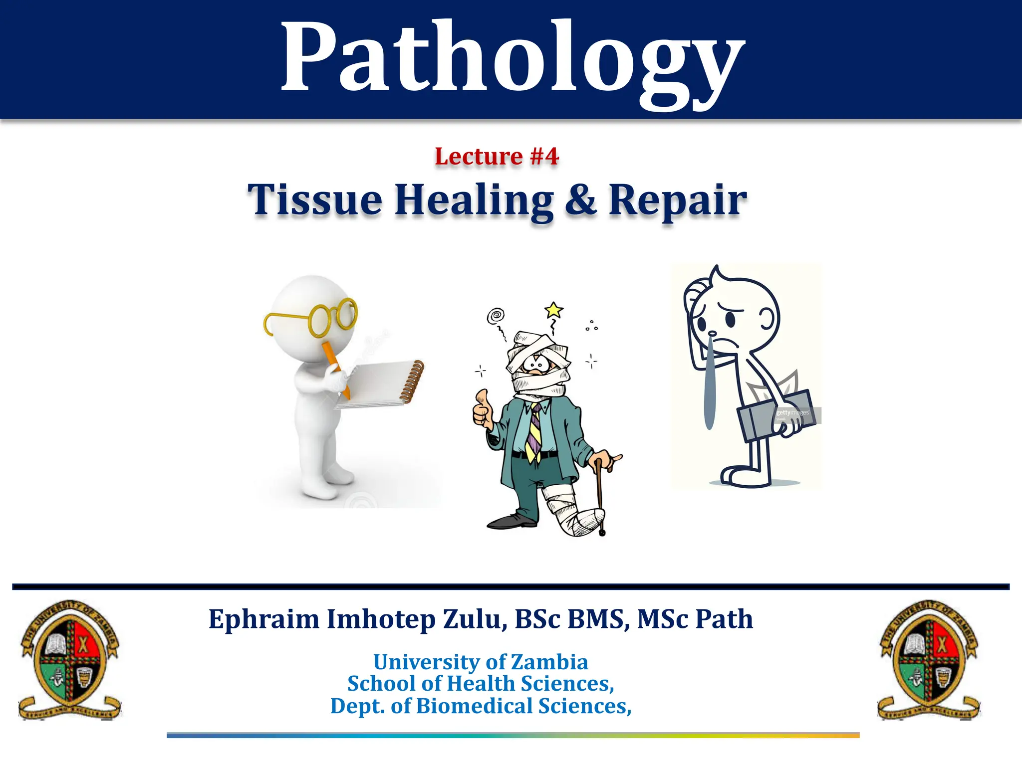PATHOLOGY - lecture - Healing & Repair.pdf