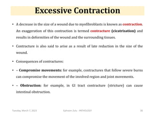 PATHOLOGY - lecture - Healing & Repair.pdf