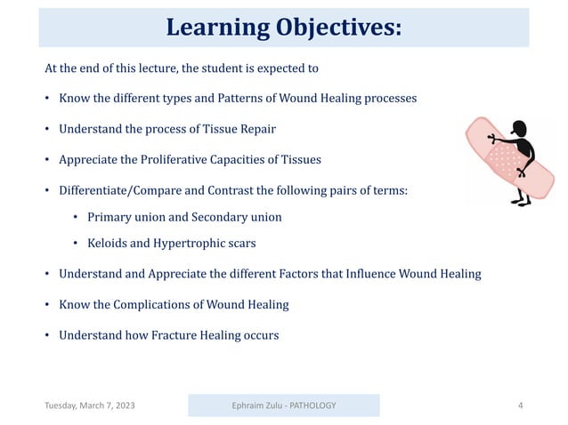 PATHOLOGY - lecture - Healing & Repair.pdf