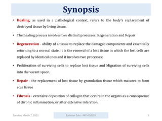 PATHOLOGY - lecture - Healing & Repair.pdf