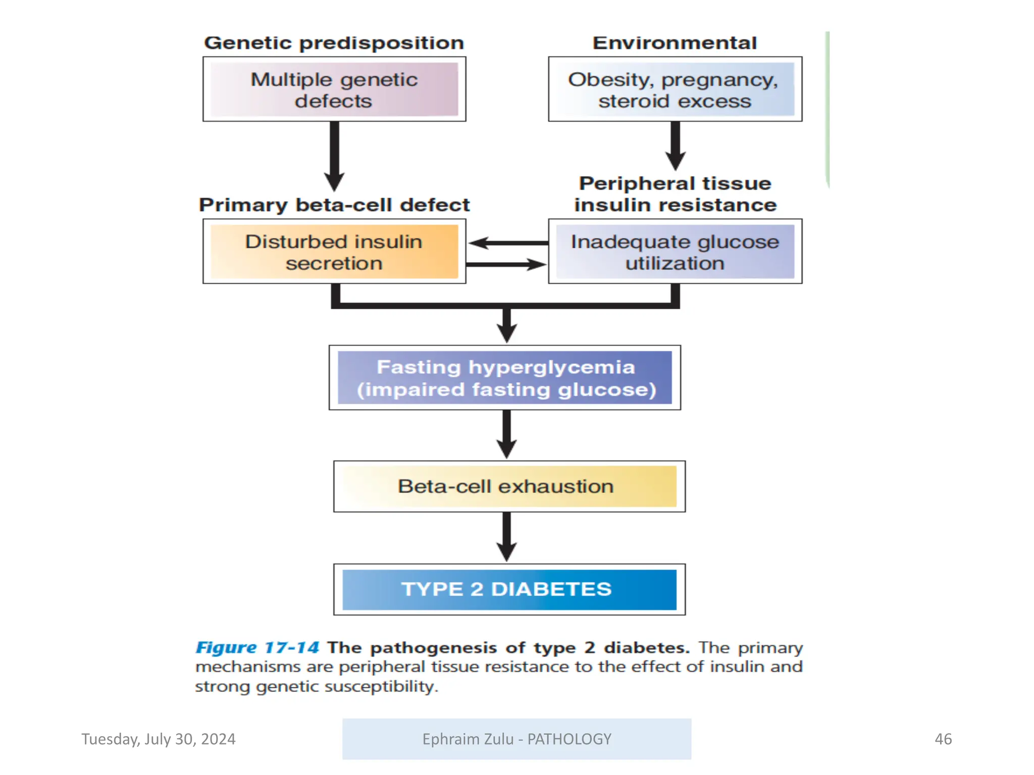 PATHOLOGY - 15 - Endocrine Pathology.pdf