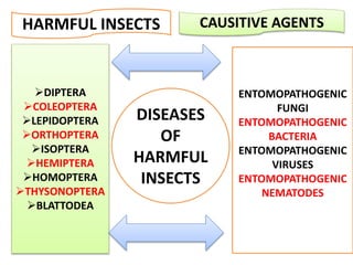 Pathology | PPTX