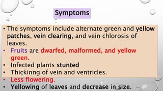 Virus and virod disease | PPTX