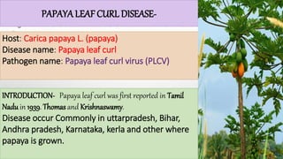 Virus and virod disease | PPTX