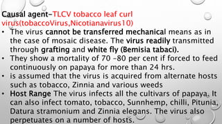 Virus and virod disease | PPTX