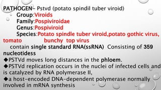 Virus and virod disease | PPTX