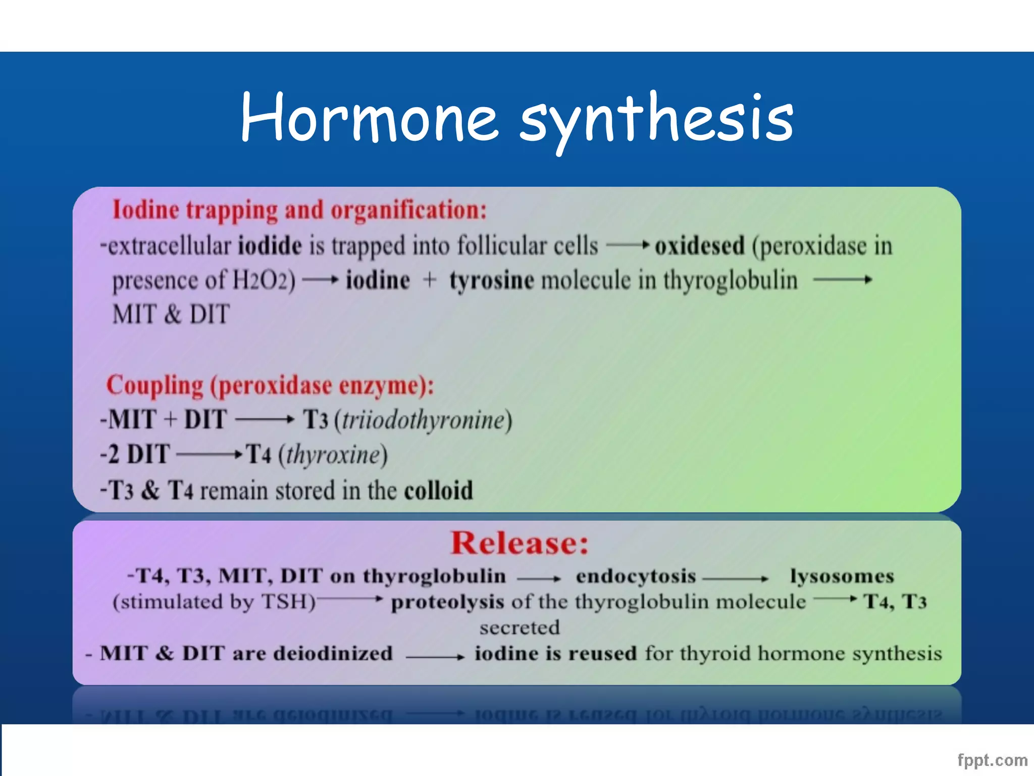 Anatomy of Thyroid and Parathyroid gland | PPT