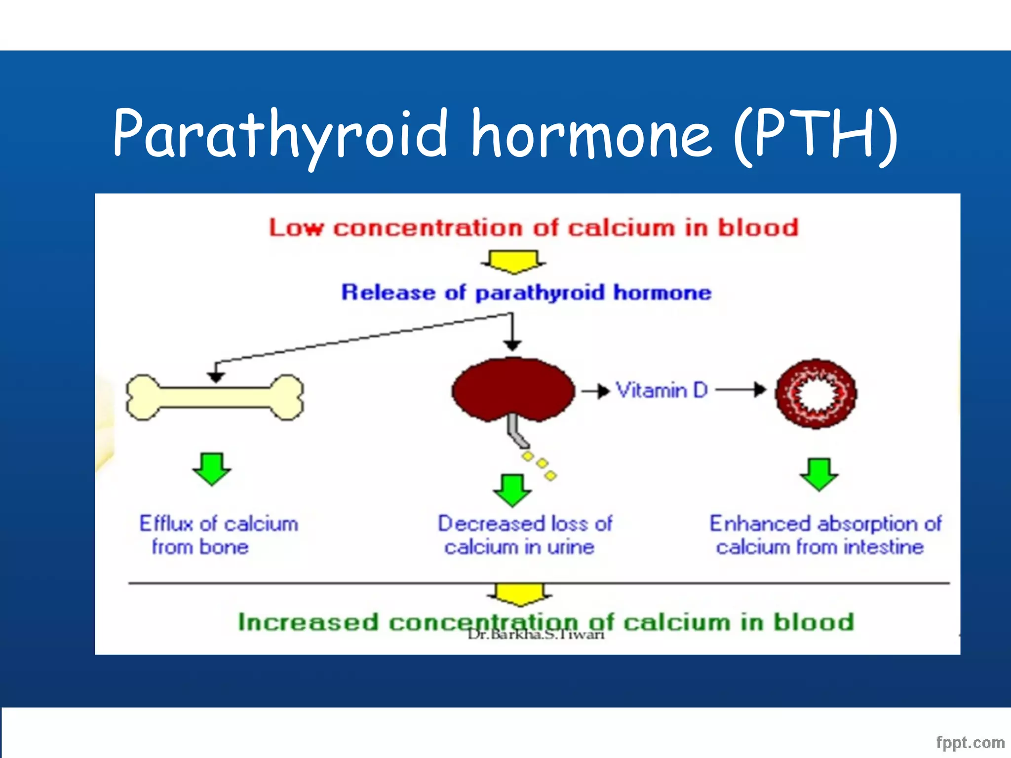 Anatomy of Thyroid and Parathyroid gland | PPT