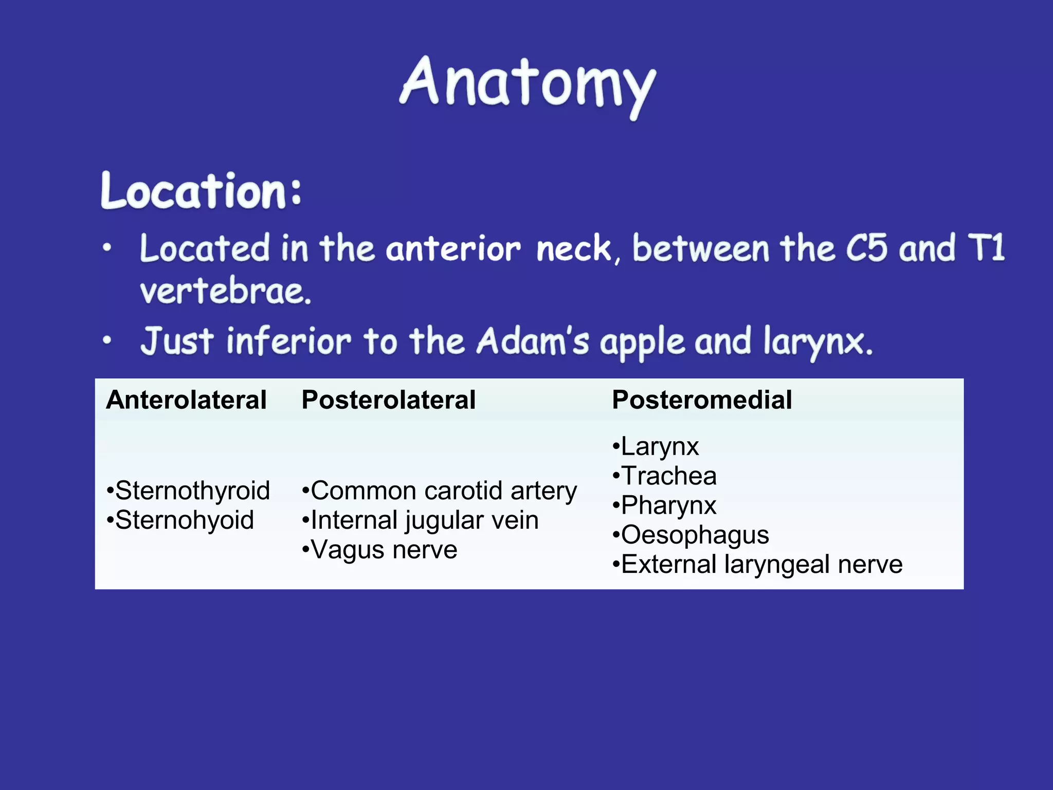 Anatomy of Thyroid and Parathyroid gland | PPT