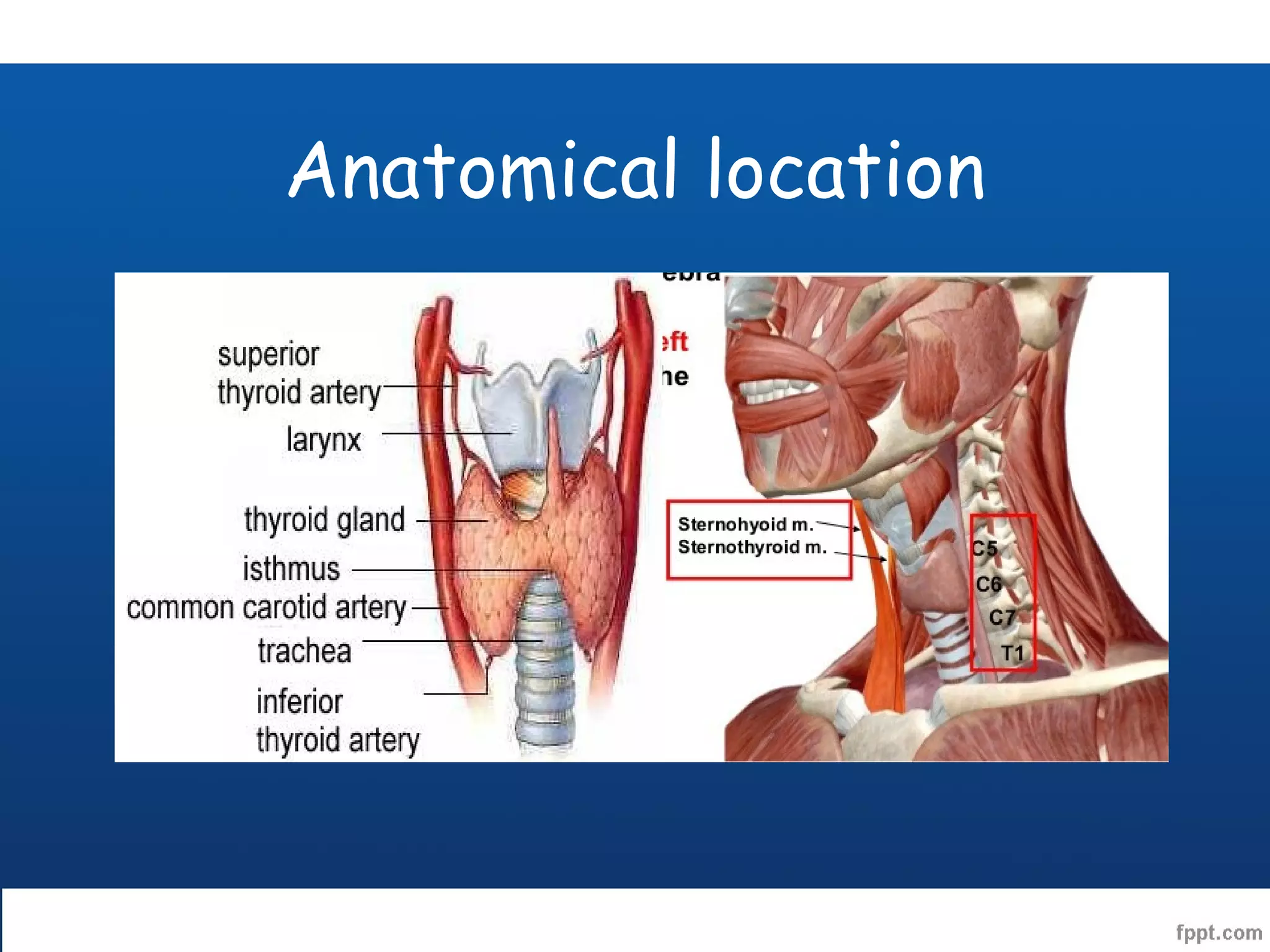 Anatomy of Thyroid and Parathyroid gland | PPT