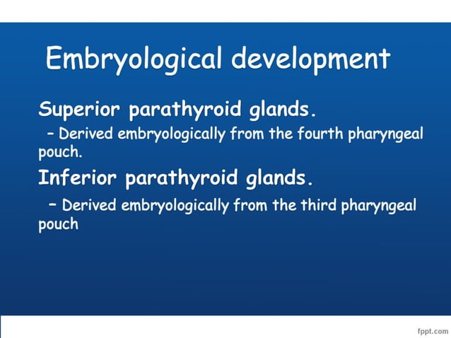 Anatomy of Thyroid and Parathyroid gland | PPT