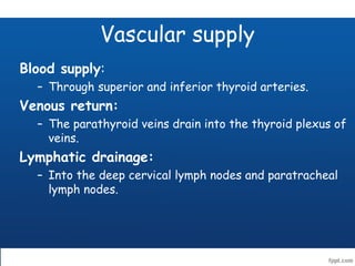 Anatomy of Thyroid and Parathyroid gland | PPT