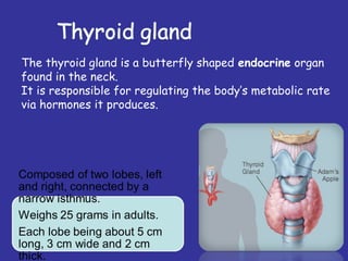 Anatomy of Thyroid and Parathyroid gland | PPT