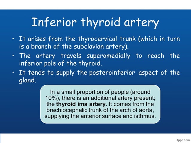 Anatomy of Thyroid and Parathyroid gland | PPT