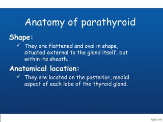 Parathyroid Gland Ppt