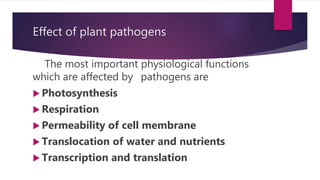 plant Pathology | PPTX
