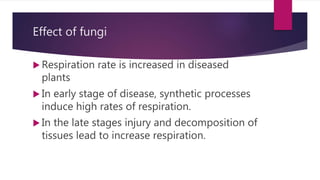 plant Pathology | PPTX
