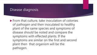 plant Pathology | PPTX