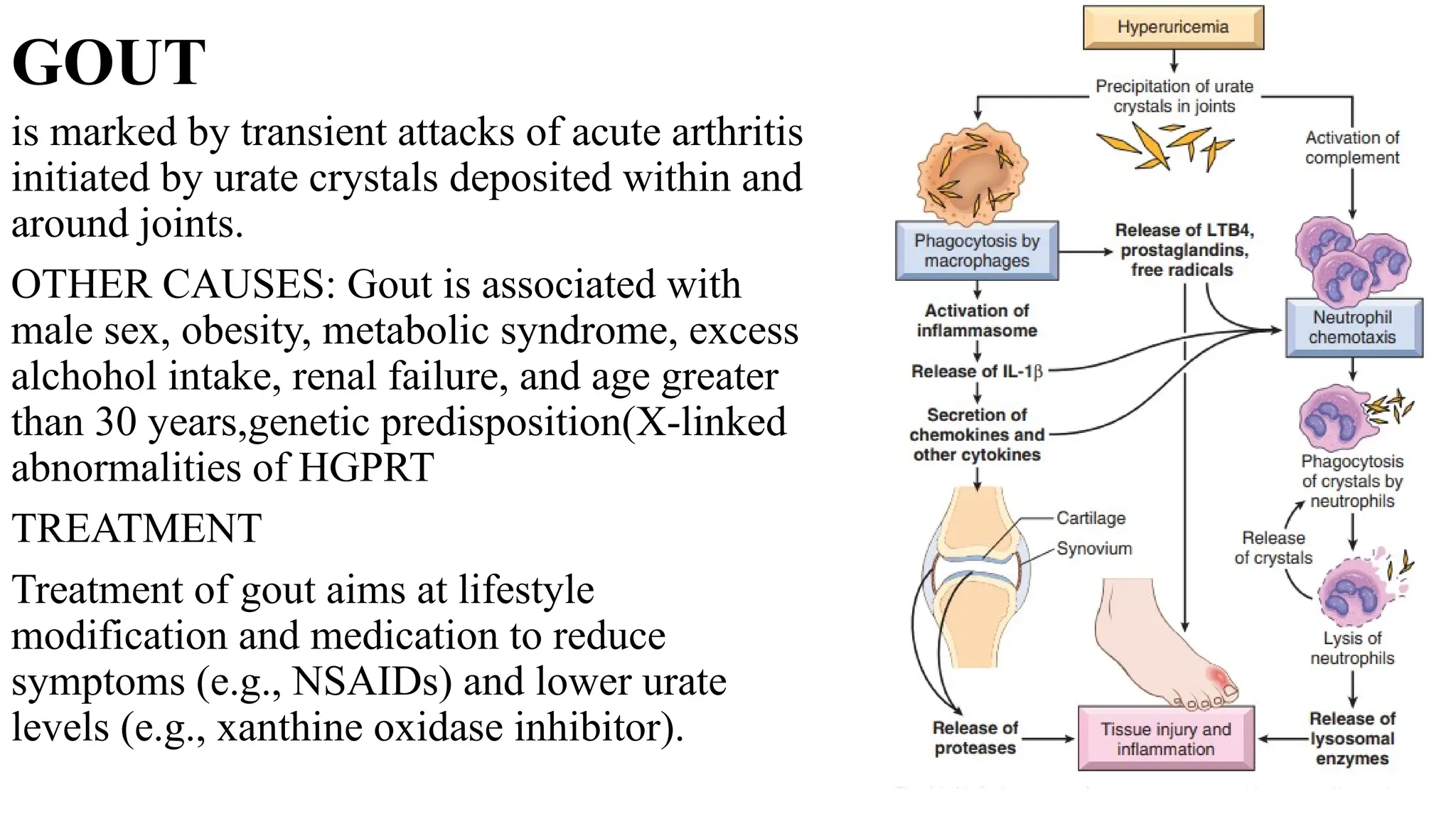 pathology of masculoskeletal disorders.. | PPTX