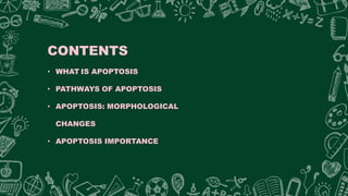 APoptosis | PPT
