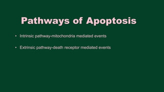 APoptosis | PPT