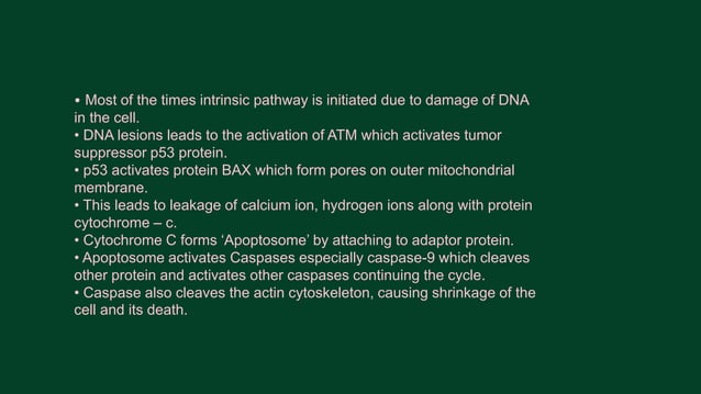 APoptosis | PPT