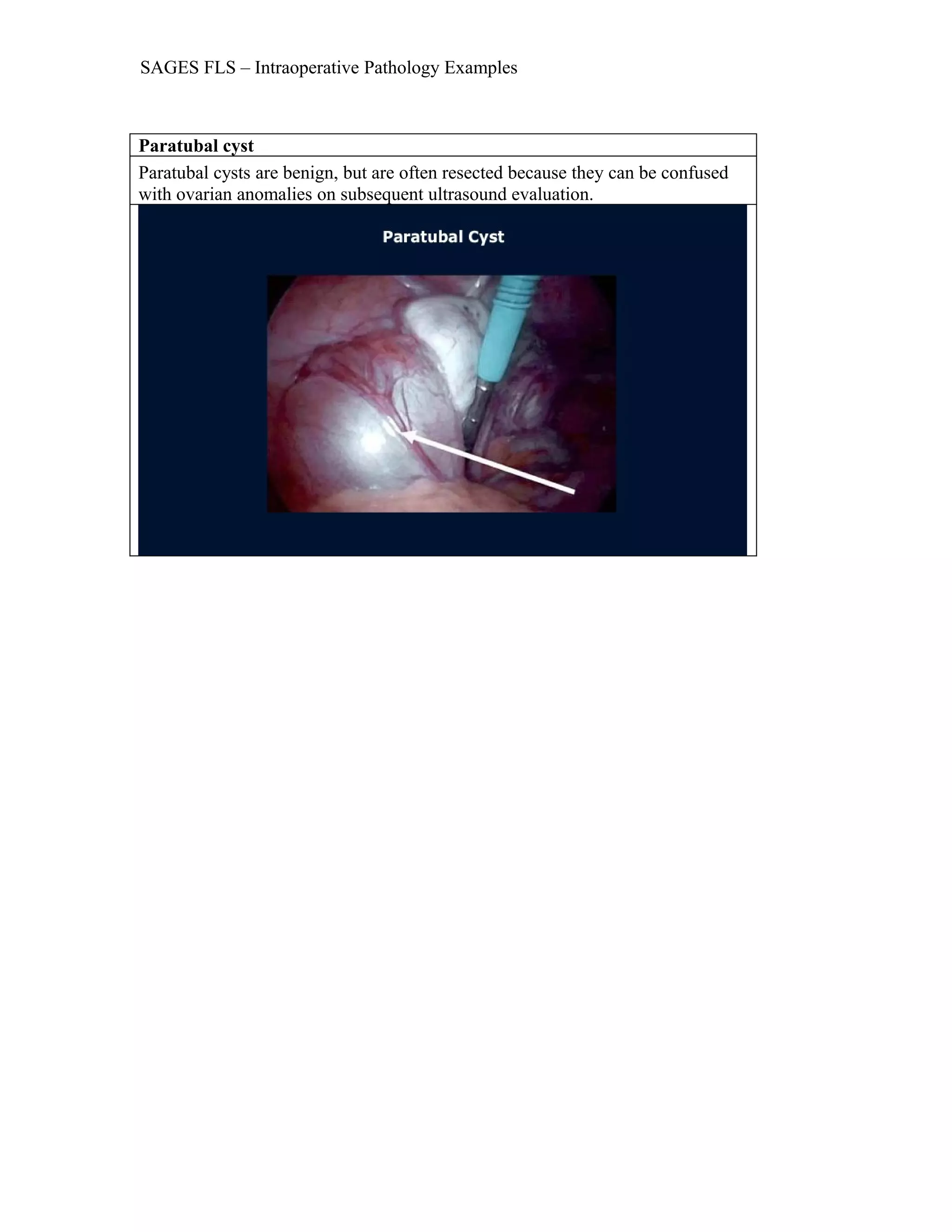 Pathology | PDF | Free Download