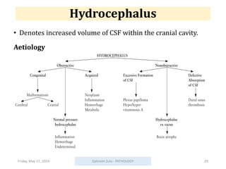 PATHOLOGY of brain- 22 - Neuropathology.pdf