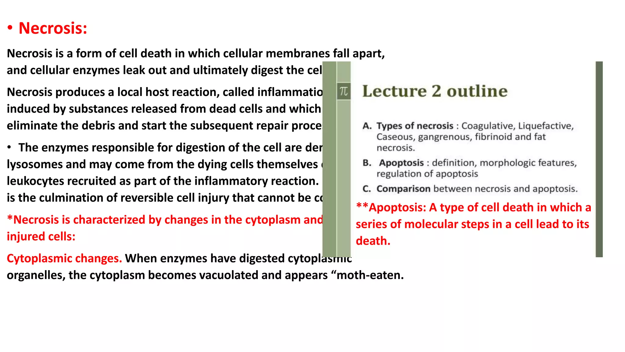 Pathology...pptx