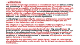 Pathology...pptx