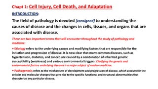 Pathology...pptx