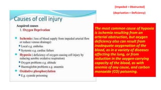 Pathology...pptx