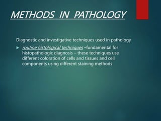 Pathology.ppt
