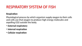 PATHOLOGY OF RESPIRATORY SYSTEM OF FISH AND SHELLFISH.pptx