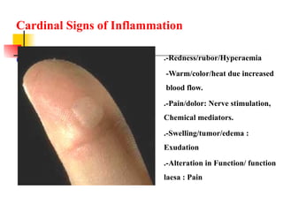 pathology-Acute and Chronic Inflammation 1.pptx