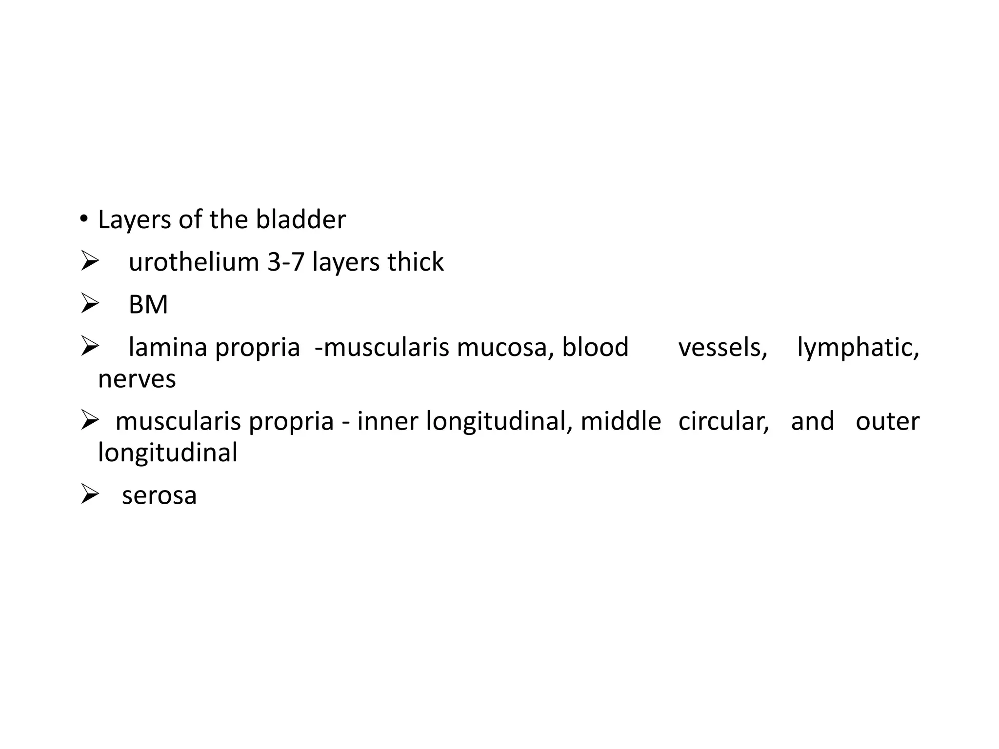 Pathology ca bladder | PPTX
